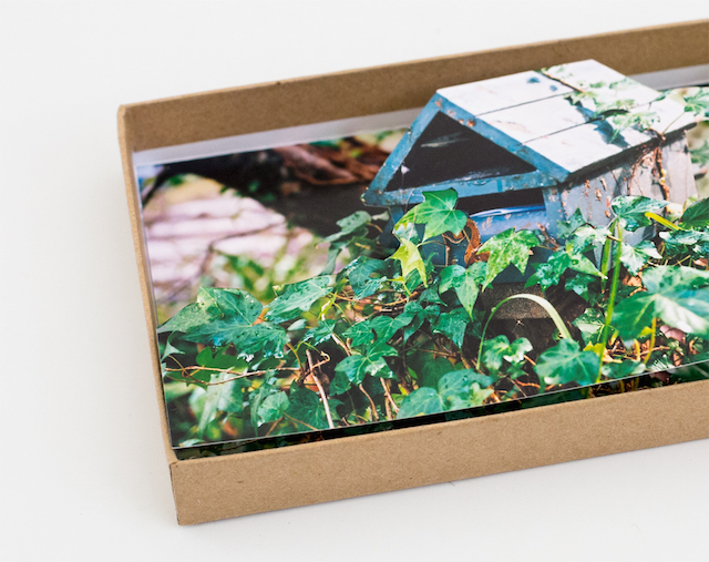 Fun Weekend Project: How to Make a DIY Pop-Up Print | The Dream Within ...